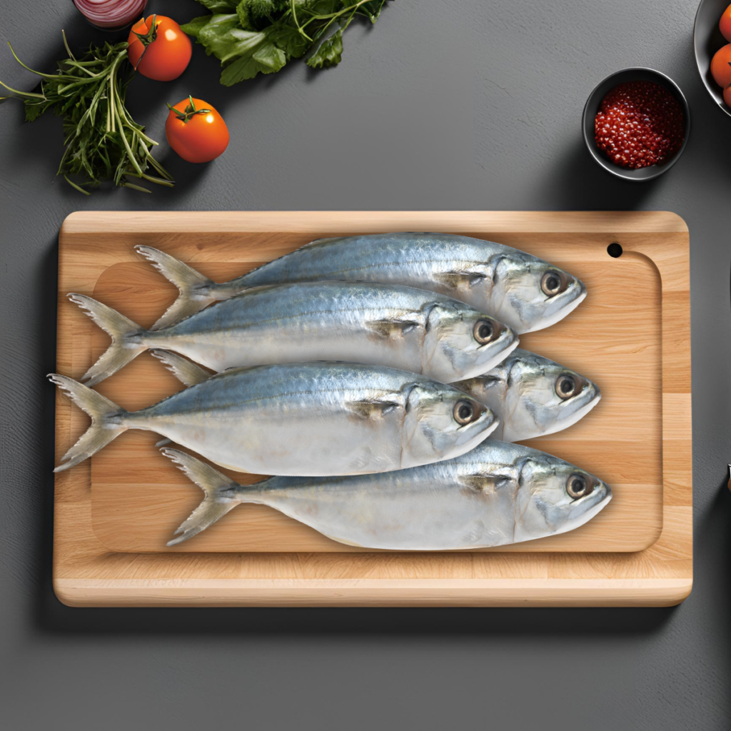 Buy Fresh Bangda Mackerel Fish Online | 5-6 Count - Fishygo